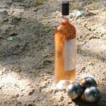 Paris Learn How to Play Pétanque French Experience - Detailed Itinerary