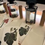 Paris: Marais District Perfume Private Walking Tour - Who Is This Tour Perfect For?