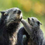 Paris: Ménagerie Zoo of Jardin des Plantes Entrance Ticket - Who Will Appreciate This Experience?