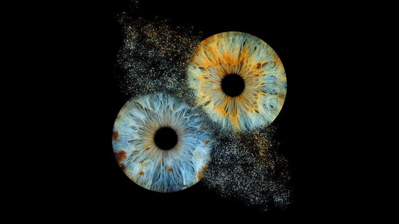 Paris Rivoli: Reveal the beauty of your iris with Iris Galerie - A Closer Look at the Itinerary