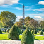 Paris: Royal Palais, Tuileries and D'Orsay Tour - Logistical Details that Matter