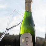 Paris: Seine River Sightseeing Cruise by Bateaux Mouches - Who Will Love This Cruise