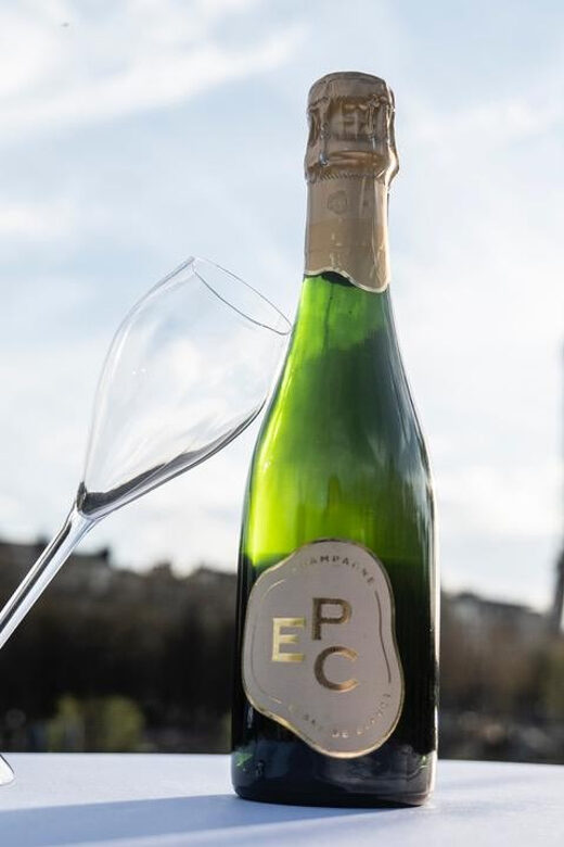 Paris: Seine River Sightseeing Cruise by Bateaux Mouches - Who Will Love This Cruise