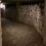 Paris: Small-Group Catacombs Tour with Skip-the-Line Entry - Who Should Take This Tour?