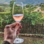 Paris: Two Reims Champagne Vineyards with Tastings and Lunch - The Value of the Tour