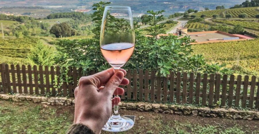 Paris: Two Reims Champagne Vineyards with Tastings and Lunch - The Value of the Tour