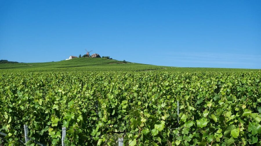 Paris VIP: Champagne Region Private Chauffeur Driven 12hrs - Key Points