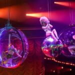 Paris: VIP Dinner and Cabaret Show at Paradis Latin - What to Expect: A Deep Dive