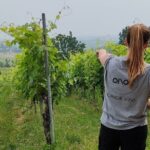Parma Hills and Wine Tasting with Food Platter - The Sum Up: Why It’s a Good Pick
