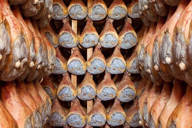 Parma: Parmigiano dairy, Parma Ham, & Wineyard Tour with Tastings - The Practical Side: What to Expect
