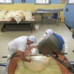 Parma: Parmigiano-Reggiano Tour and Tasting - Practical Details and Tips