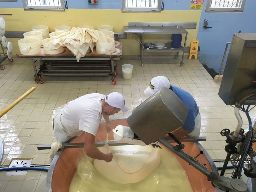 Parma: Parmigiano-Reggiano Tour and Tasting - Practical Details and Tips