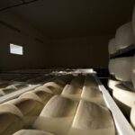 Parma: Traditional Cheese Factory Visit with Tasting - Experience Overview