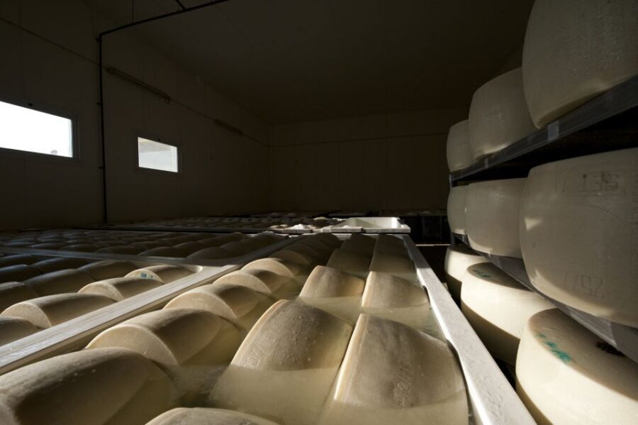 Parma: Traditional Cheese Factory Visit with Tasting - Experience Overview