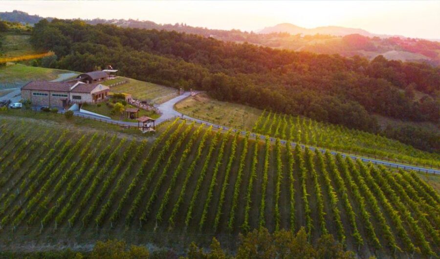 Parma: Winery Tour and tasting - Who Will Love This Tour?