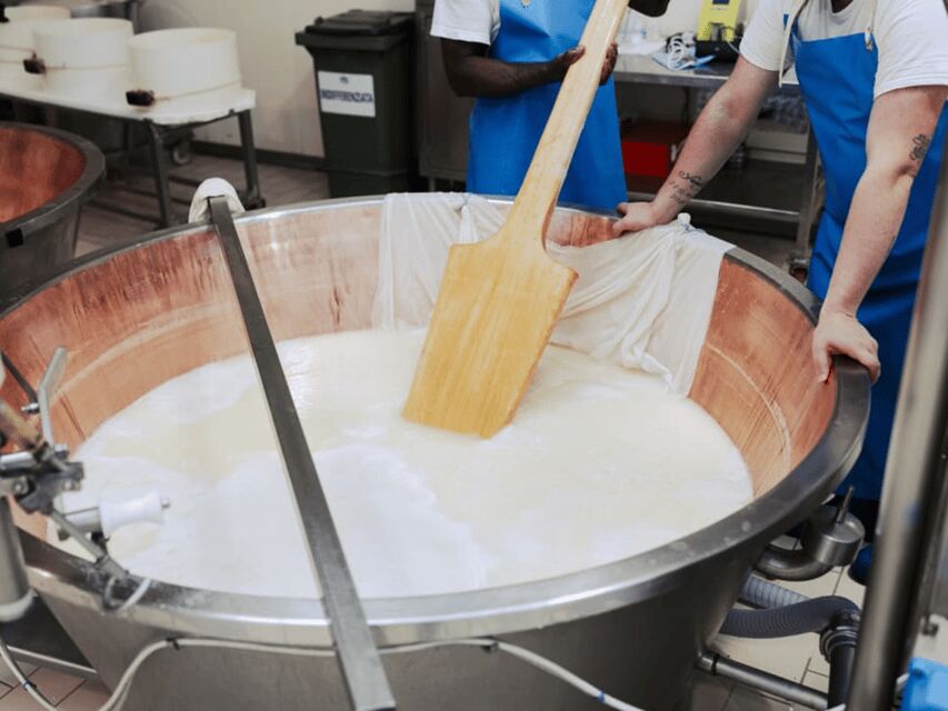 Parmesan Cheese Factory Tour & Tasting near Parma - The Value of a Parmigiano Reggiano Factory Tour Near Parma