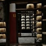 Parmesan Cheese Tour & Tasting near Modena - Who Will Love This Tour?