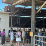 Parmesan, Wine, Balsamic Full Day Tour with Lunch - Authenticity and Value