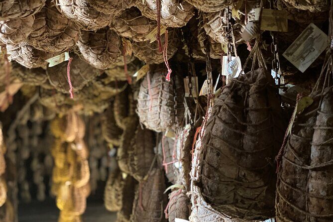 Parmigiano and Culatello Private Tour with Lunch and Farm Visit - What to Expect and Why It Matters