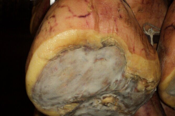Parmigiano Reggiano and Parma ham tour - Who Should Consider This Tour?