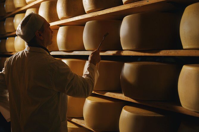 Parmigiano-Reggiano Cheese Factory Small group Tour From Parma - Who Will Enjoy This Tour?