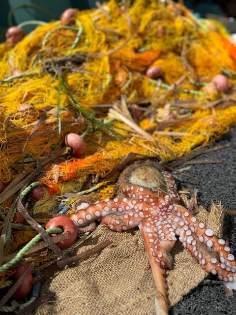 Paros: Highlights Tour with Fishing & Tasting in Naoussa - What’s Included and What to Bring