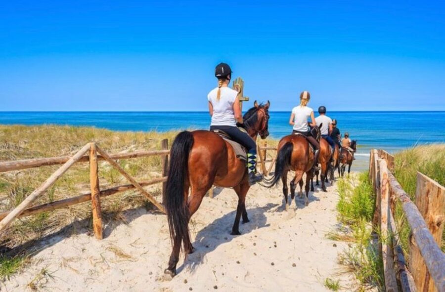 Paros: Morning Island Horseback Riding Adventure - What’s Included and Not Included