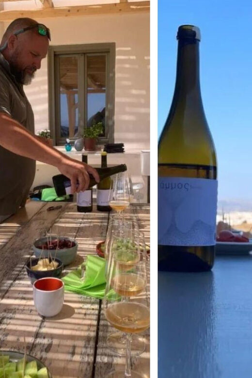 Paros: Wine tasting at Local Winery - What to Expect from Your Visit