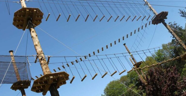 Parque Multiaventura en Asturias - Pricing and Value