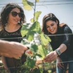 Partinico: Farm Augustali Winery Tour with Picnic & Tastings - The Scenic Walk and Farm Experience