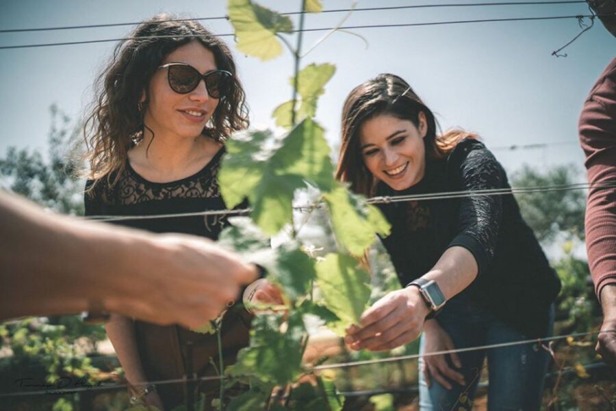 Partinico: Farm Augustali Winery Tour with Picnic & Tastings - The Scenic Walk and Farm Experience