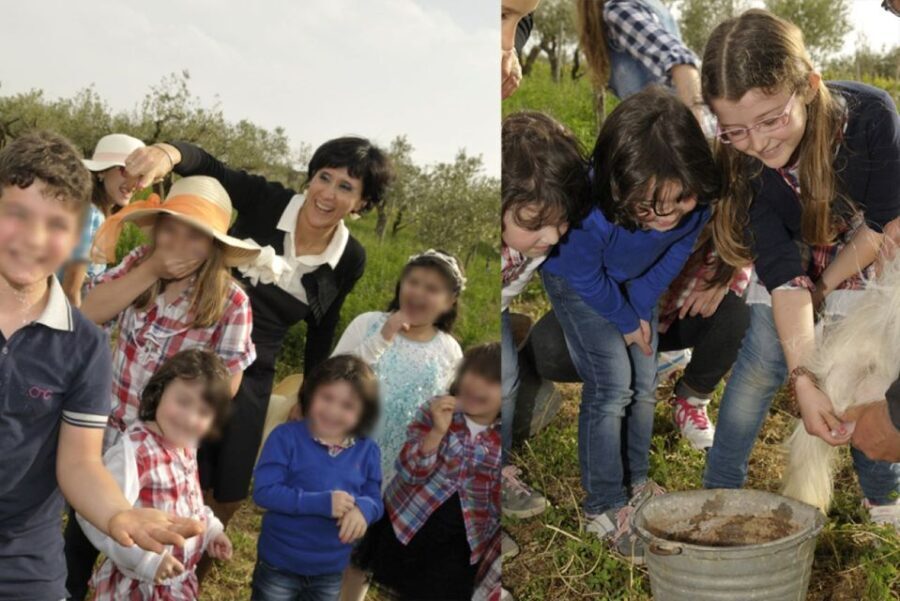 Partinico: Farm's Animals and Aromatic Garden Experience - An In-Depth Look at the Farm Experience in Partinico