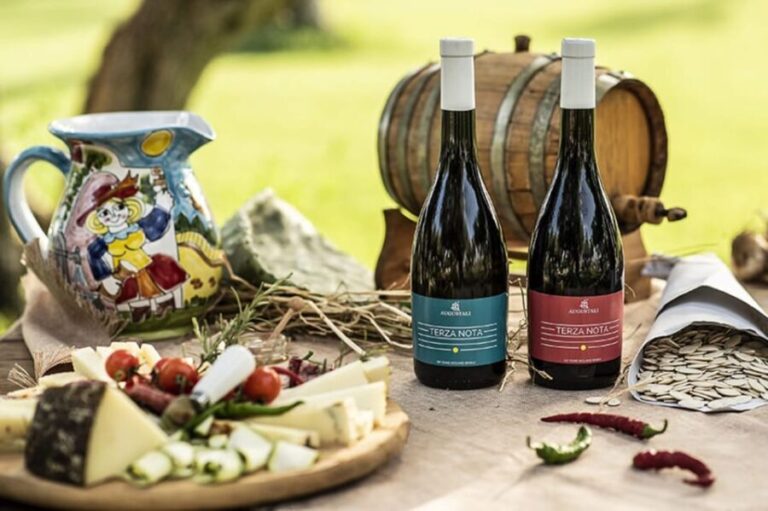 Partinico:Grape harvest in the lands of FrederikII of Swabia - Practical Details and What to Expect