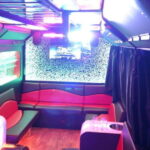 Party Bus & Dancer for 3 hours in Vilnius - Who This Tour Is Best For
