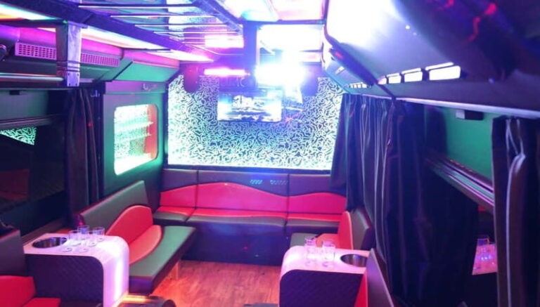 Party Bus & Dancer for 3 hours in Vilnius - Who This Tour Is Best For