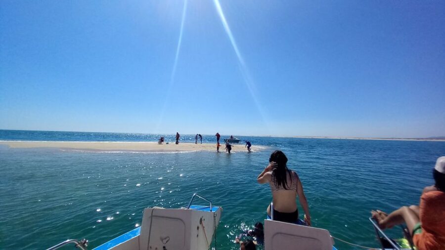 Passeio de barco na Ria Formosa 3H - Who Should Consider This Tour?