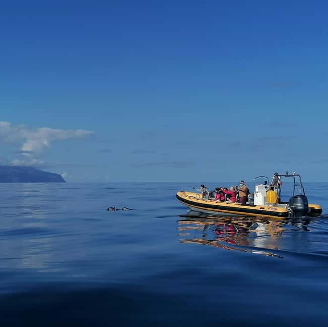 Passeios Turísticos: Trip to Corvo by Boat - The Itinerary in Detail