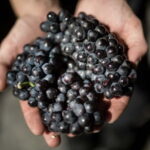 Passy-Grigny: Chocolate and Champagne Tasting Tour - The Itinerary Breakdown: What Makes It Special