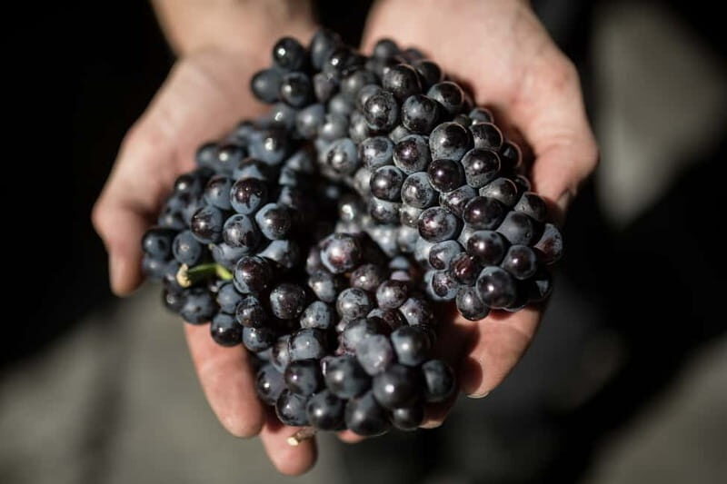 Passy-Grigny: Chocolate and Champagne Tasting Tour - The Itinerary Breakdown: What Makes It Special