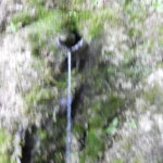 Paths of the Gods Alto - The Experience: From Scenic Walks to Tasting