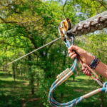 Pau - Tree climbing - Lacq Aventure - Who Will Love This Experience?