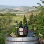 Peccioli: Wine tasting experience - Who Will Love This Tour?