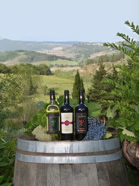 Peccioli: Wine tasting experience - Who Will Love This Tour?