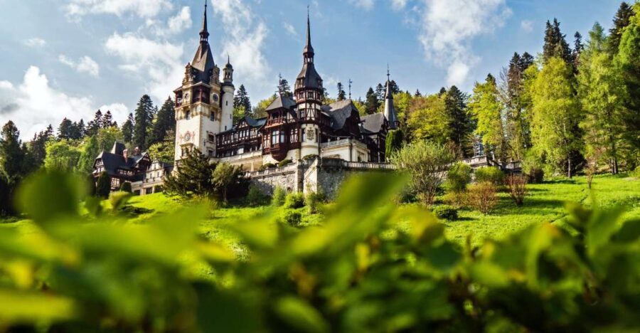 Peles & Cantacuzino Castles: Gourmet Wine & Cultural trip - The Charm of Cantacuzino Castle and Wine Tasting