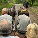 Peles castle and authentic Romanian village experience - day trip - What Real Travelers Say About This Tour