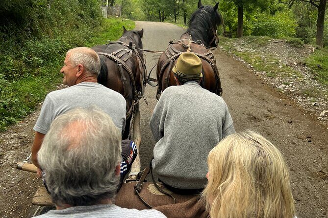 Peles castle and authentic Romanian village experience - day trip - What Real Travelers Say About This Tour