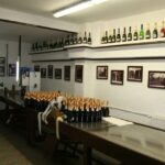 Peles Castle & Wine Tasting Tour - Full-Day from Bucharest - The Experience from Real Travelers’ Perspectives