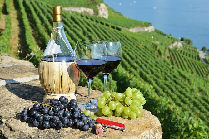 Peljesac Vineyards & Oysters - Private Day Trip from Dubrovnik-Mercedes Vehicle - Why This Tour Offers Value