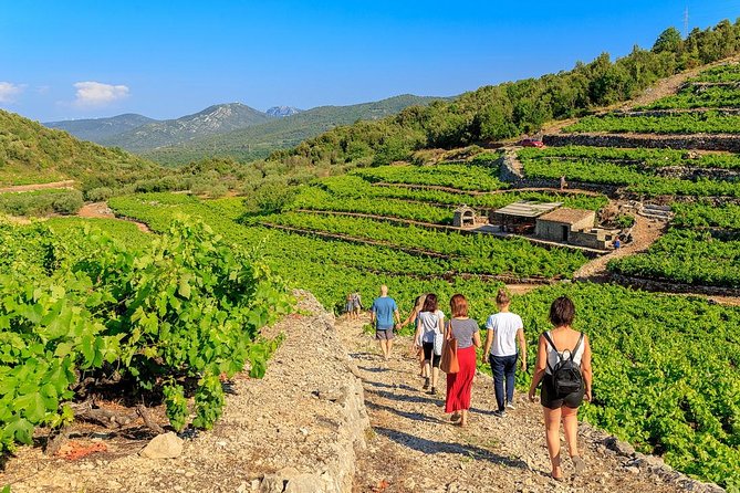 Peljesac&Ston Small-Group Food & Wine Experience from Dubrovnik - Key Points