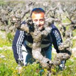 Penedès/BCN: Self-Guided eBike Tour with guided Winery Visit - Who Will Love This Tour?